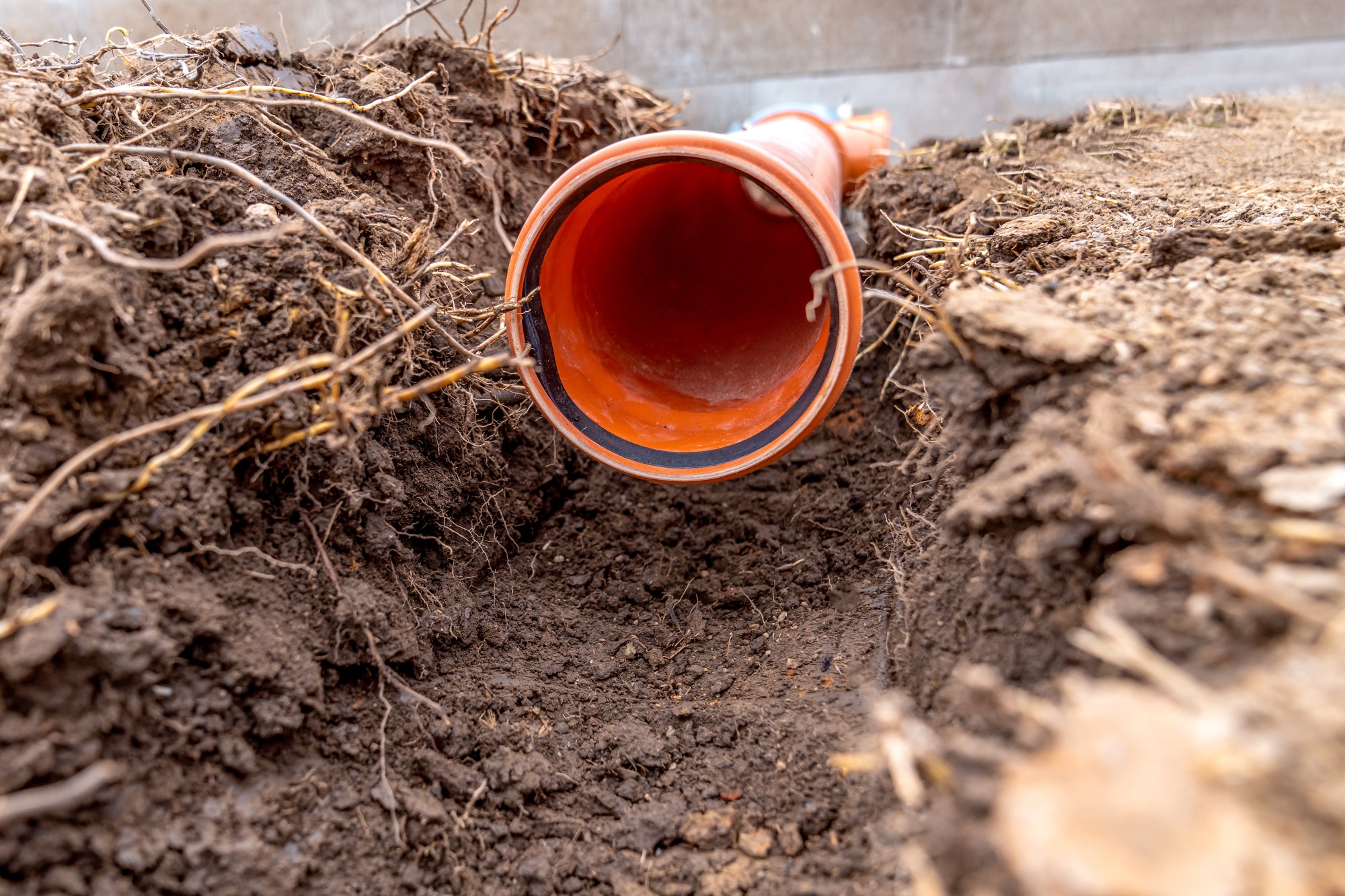 What’s The Best Sewer Line Clog Solutions in Concord, California?